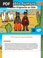 Instrumentos Aymaras | PDF | Arte | Historia