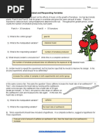 The Scientific Method With The Simpsons KEY | PDF | Experiment | Mouse