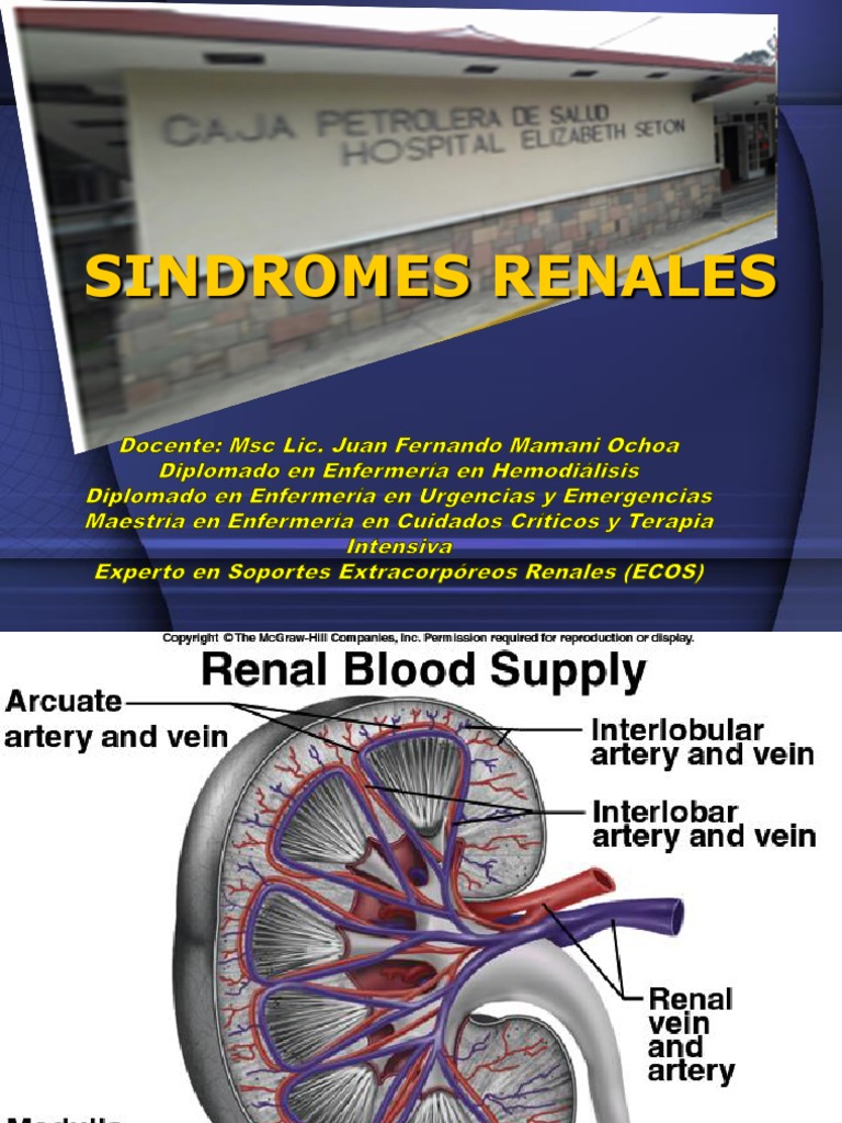 Fisiología y Síndromes Renales | PDF
