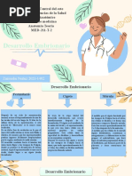 Desarrollo Embrionario | PDF | Embrión | Feto