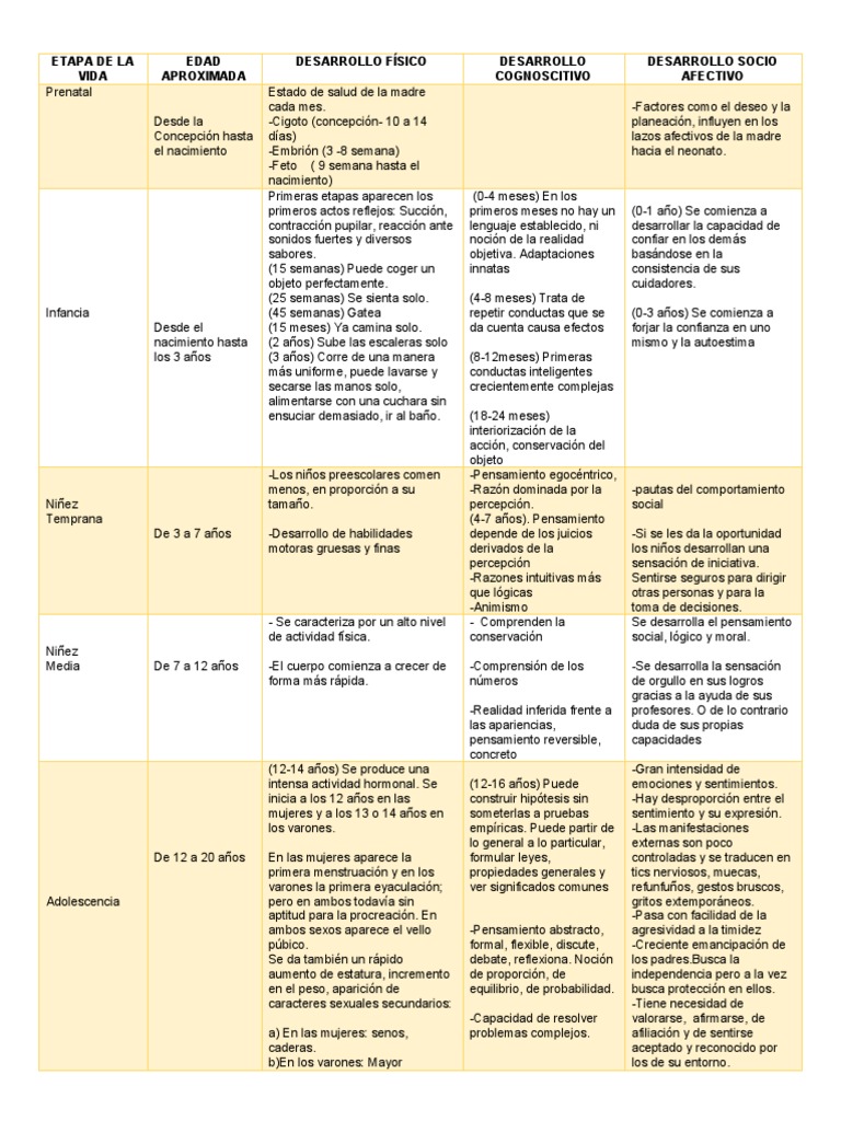 Cuadro Comparativo Etapas Del Desarrollo Humano | PDF | Pensamiento | Percepción
