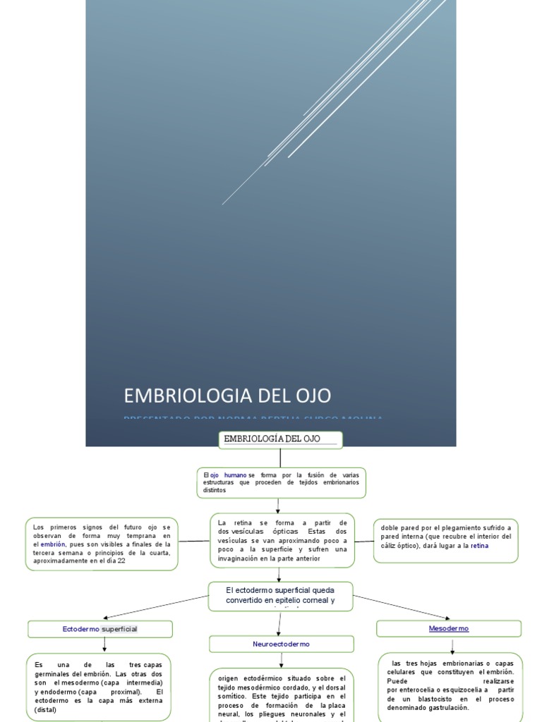 Embriologia Del Ojo | PDF | Ojo humano | Embrión