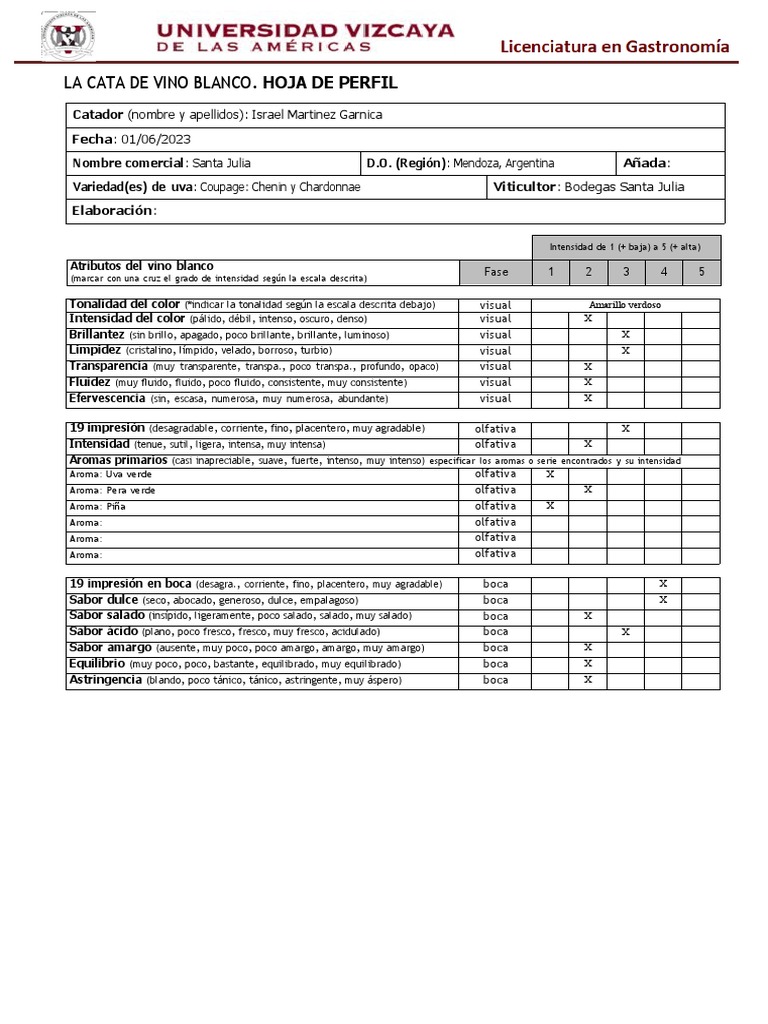 Cata Vino Blanco | PDF | Vino | Color