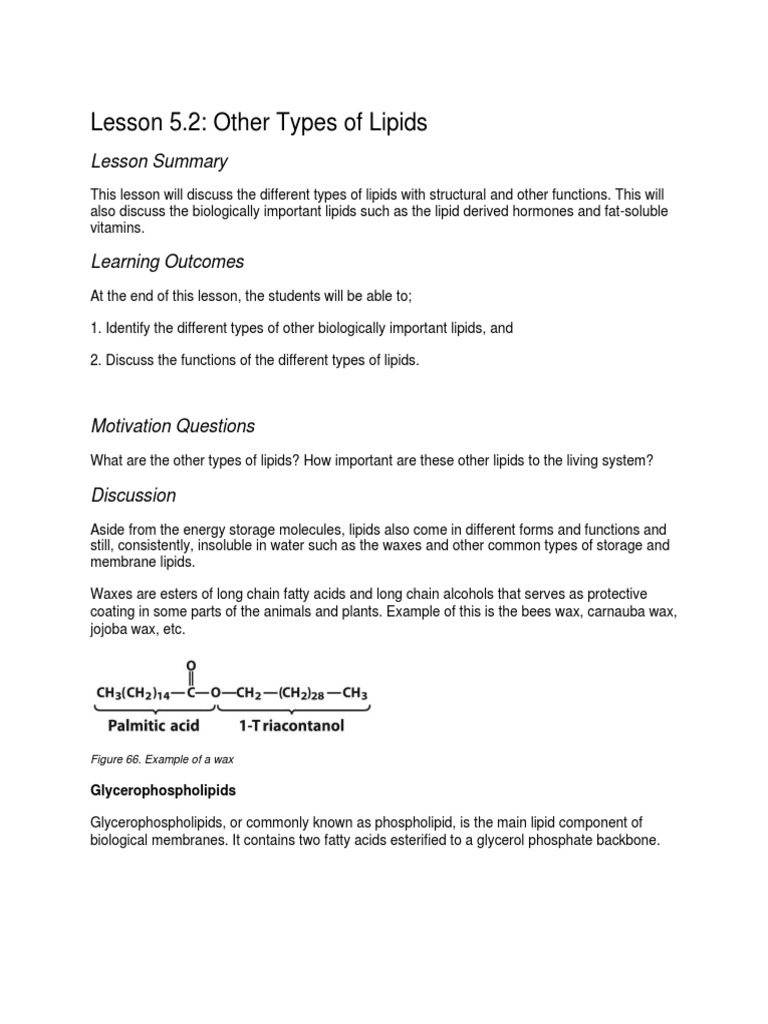 Lesson 5.2. Other Types of Lipids | PDF | Lipid | Cholesterol