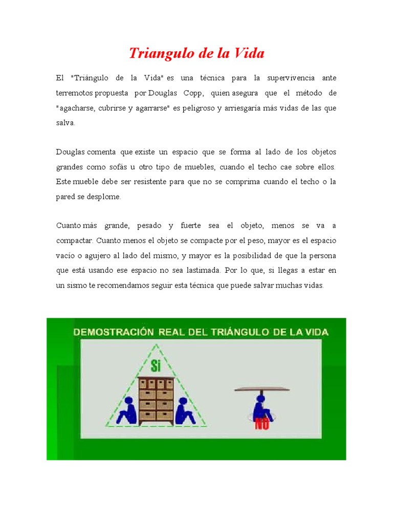 Triangulo de La Vida | PDF
