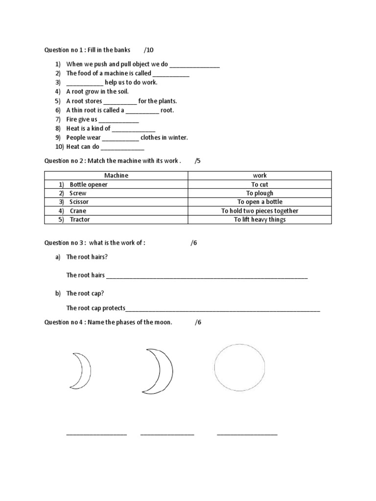 Misss Bushra Class Two | PDF | Root | Liquids
