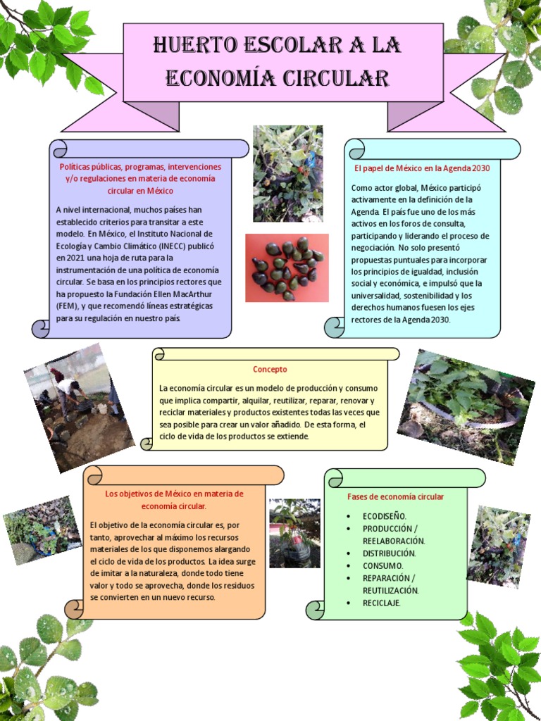 Huerto Escolar de La Economia Circular | PDF | Reciclaje | Ambiente