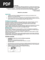 Sesion - de - Aprendizaje Clasificacion de Las Plantas | PDF | Plantas ...