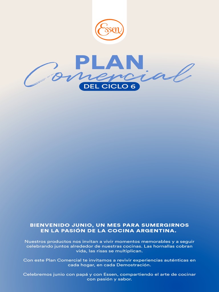 Plan Comercial C6 | PDF | Business