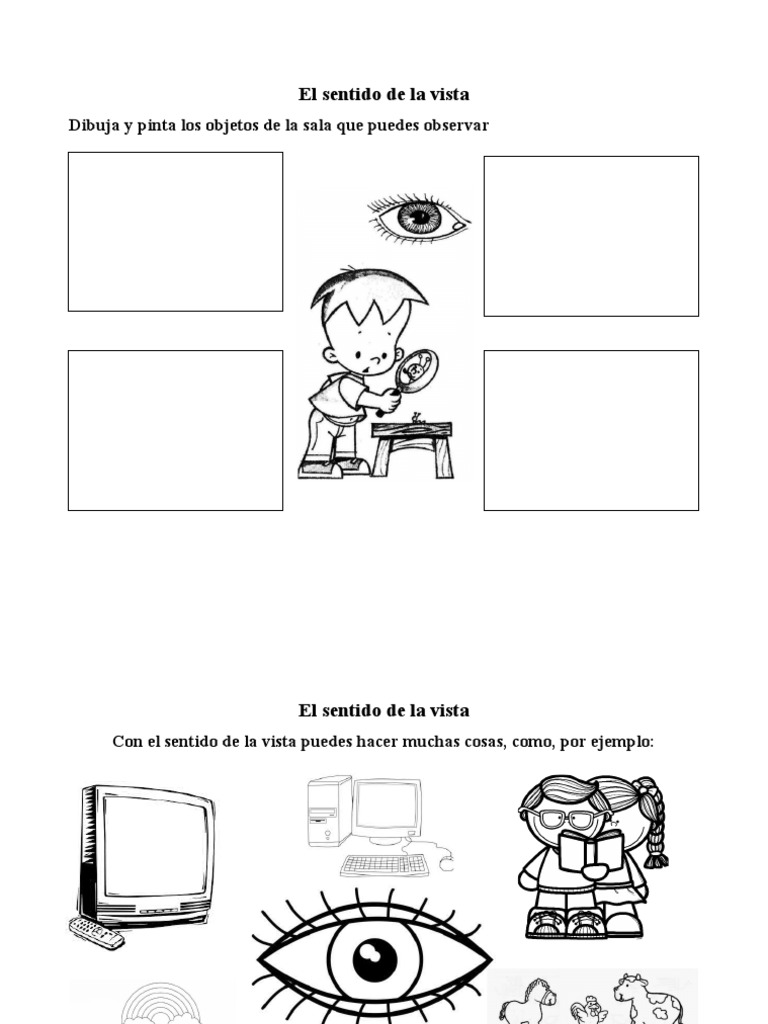 El Sentido de La Vista - Fichas | PDF
