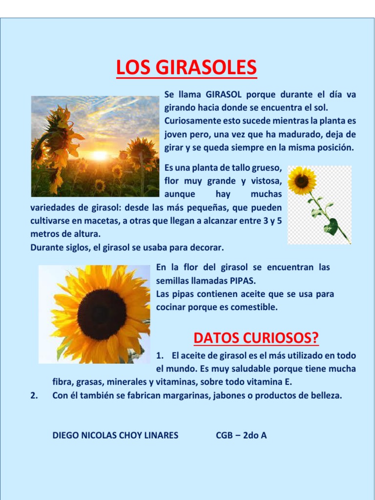 Los Girasoles | PDF