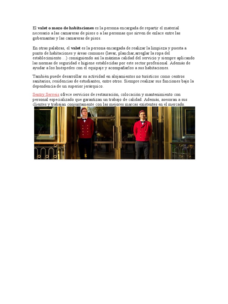 VALET | PDF | Crecimiento personal y profesional | Negocios