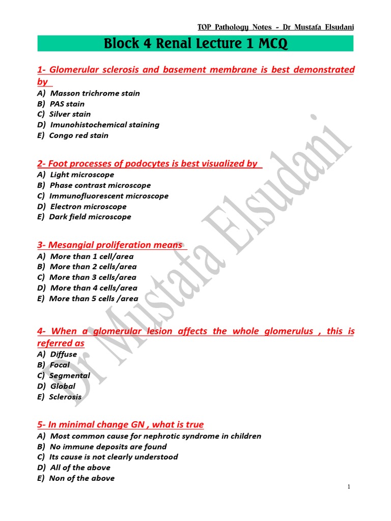 Block 4 Renal Lecture 1 MCQ | PDF | Urology | Medicine