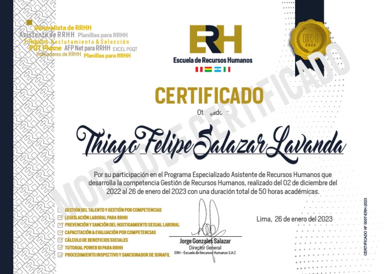 Modelo Certificado | PDF