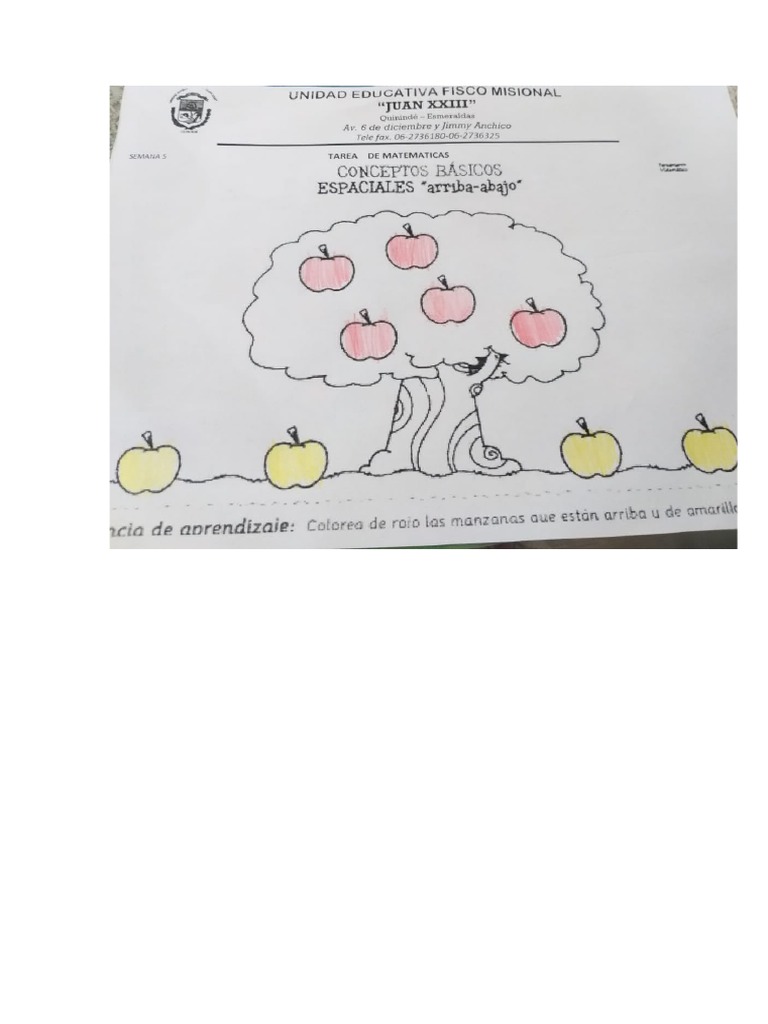 Matematicas Semana 5 Arriba, Abajo | PDF Matematicas Semana 5 Arriba, Abajo | PDF
