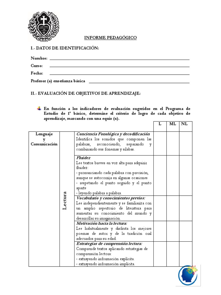 INFORME PEDAGÓGICO TIPO - Primero básico | PDF