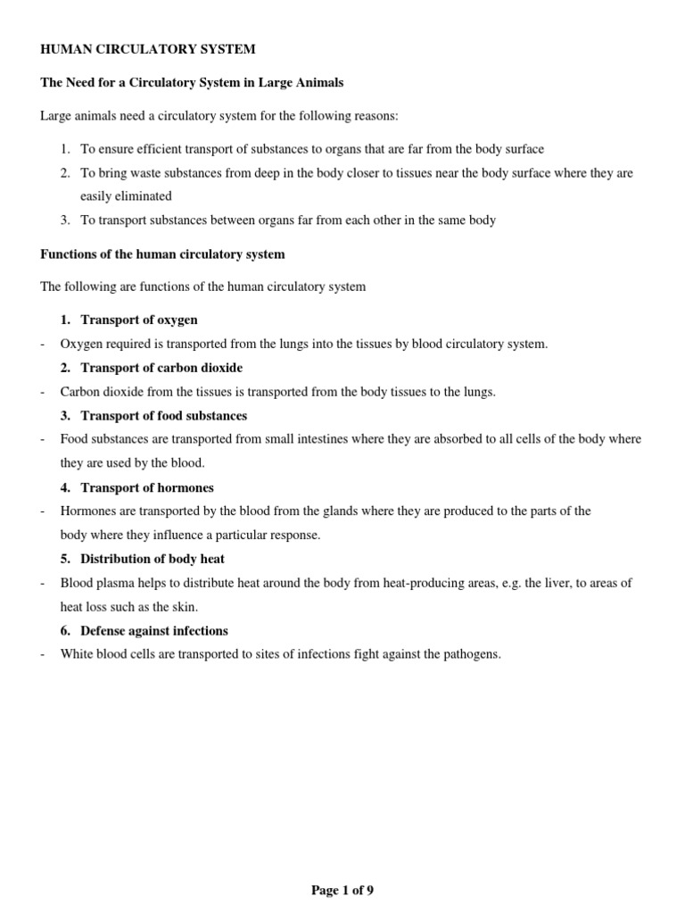 Human Circulatory System | PDF | Atrium (Heart) | Heart