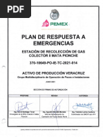 Programa Interno de Proteccion Civil | PDF | Defensa Civil | Seguridad Pública