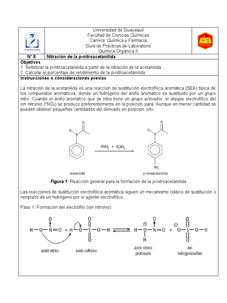 PRÁCTICA_8_QOII | PDF | Química | Química Orgánica