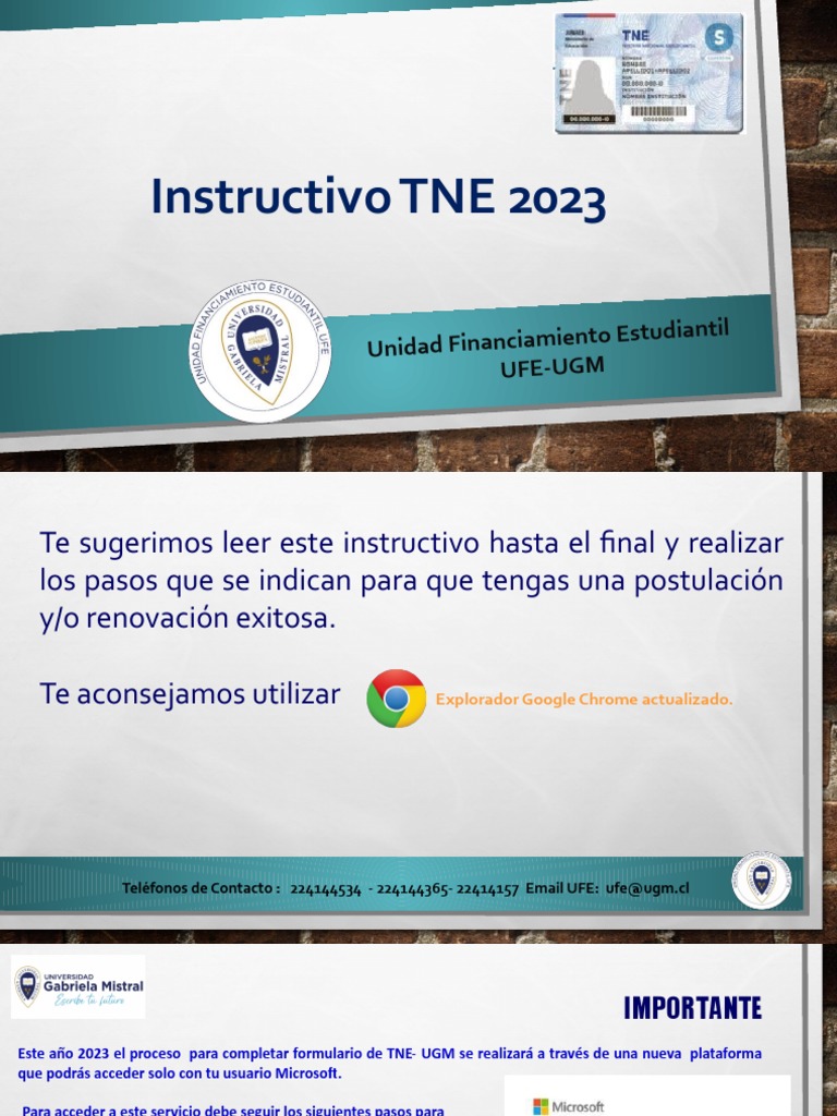 Instructivo TNE 2023 - Procesos TNE - 2023 | PDF