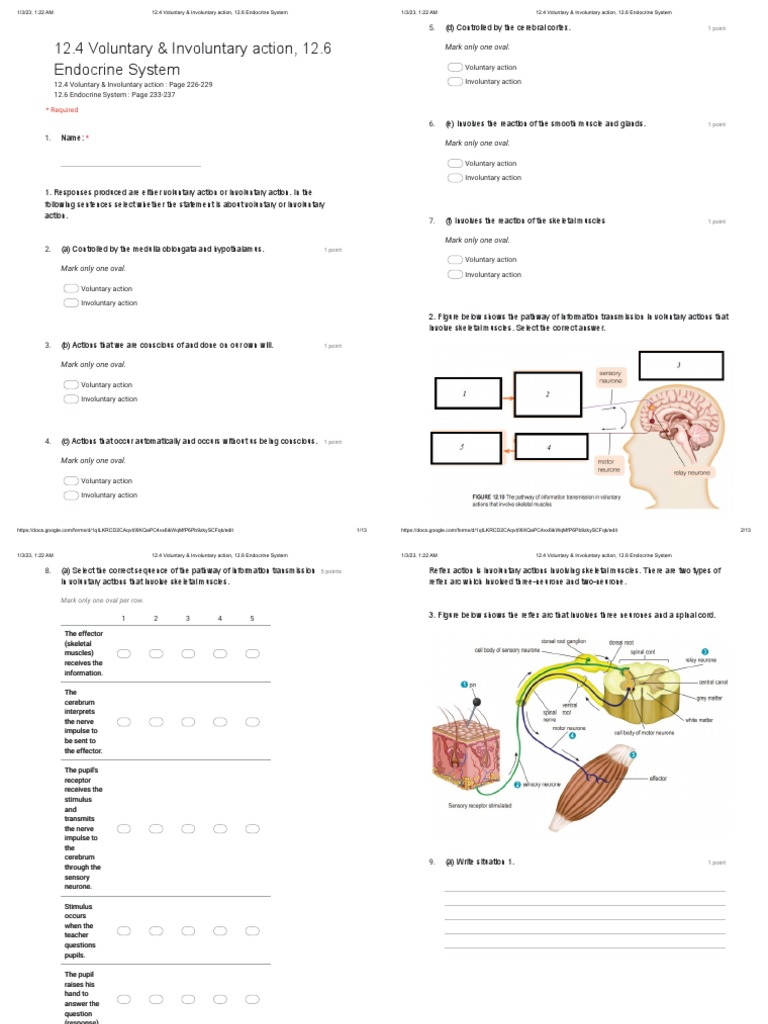 Voluntary vs Involuntary Actions Explained | PDF | Luteinizing Hormone ...