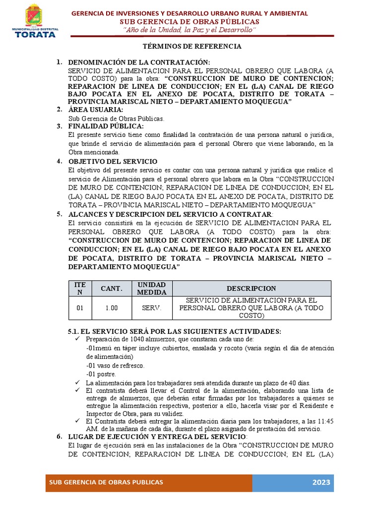 TDR - Servicio de Alimentacion | PDF