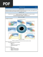 Neuropatía Oftalmica Traumática: Asignatura: Urgencias Oftalmológicas ...