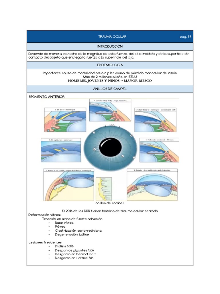 Trauma Ocular | PDF | Ojo humano | Percepción visual