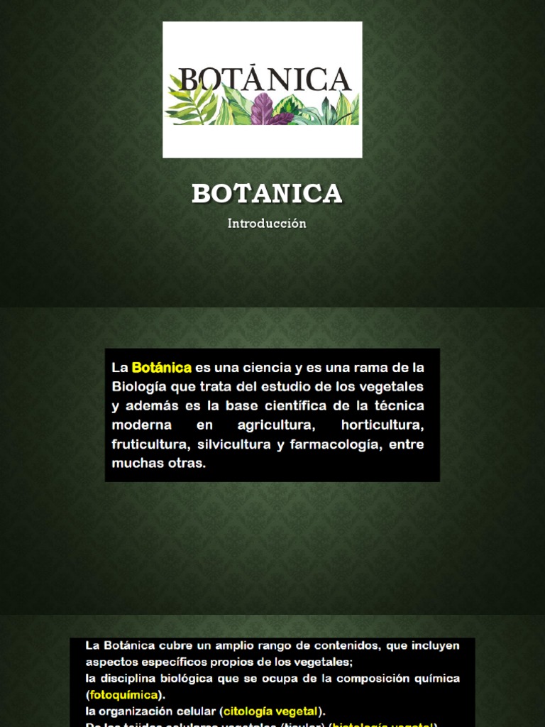 Botánica Criptogámica: Especies y Estudio | PDF