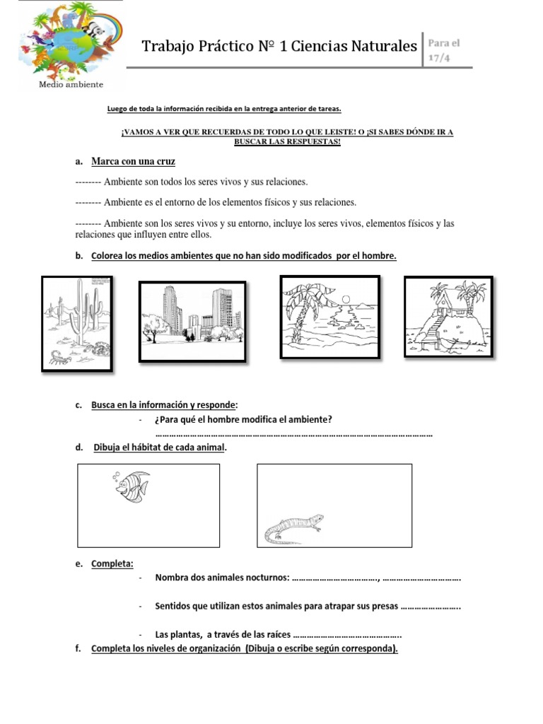 5º Grado Trabajo Práctico #1 de Ciencias Naturales | PDF