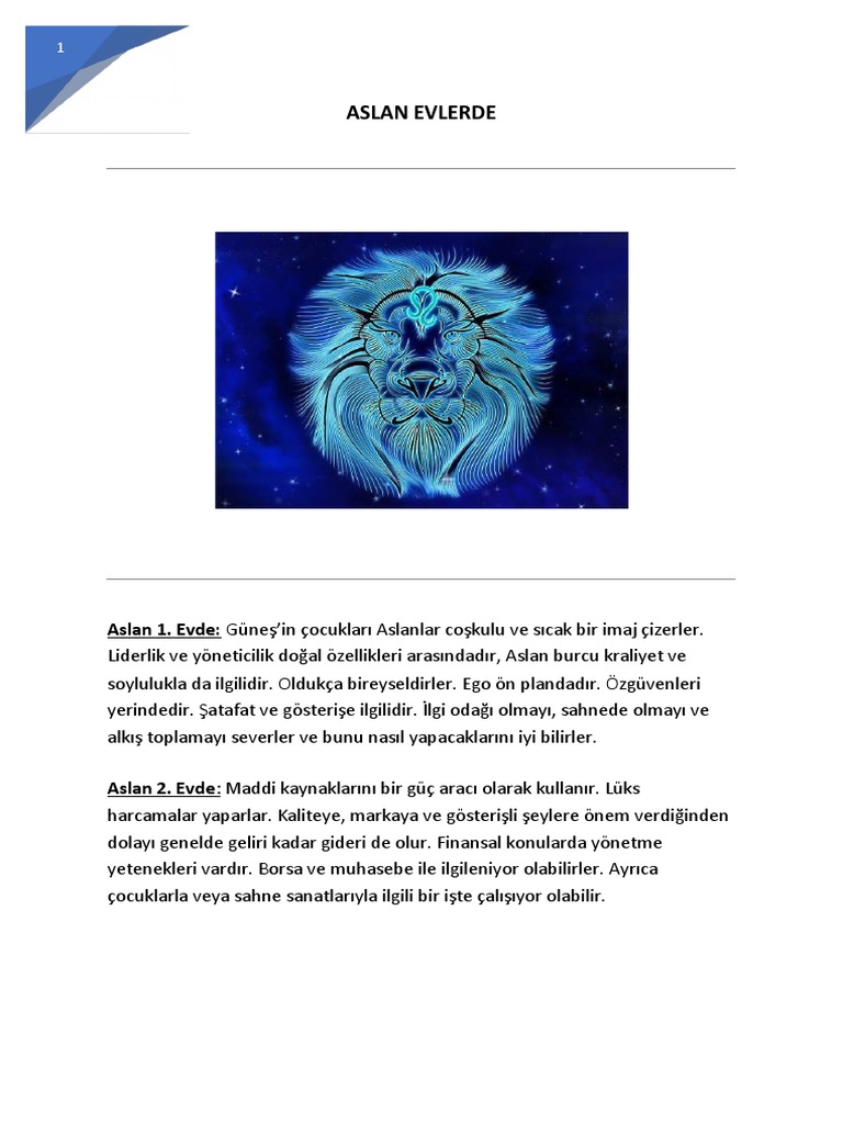 5 - Aslan Evlerde | PDF