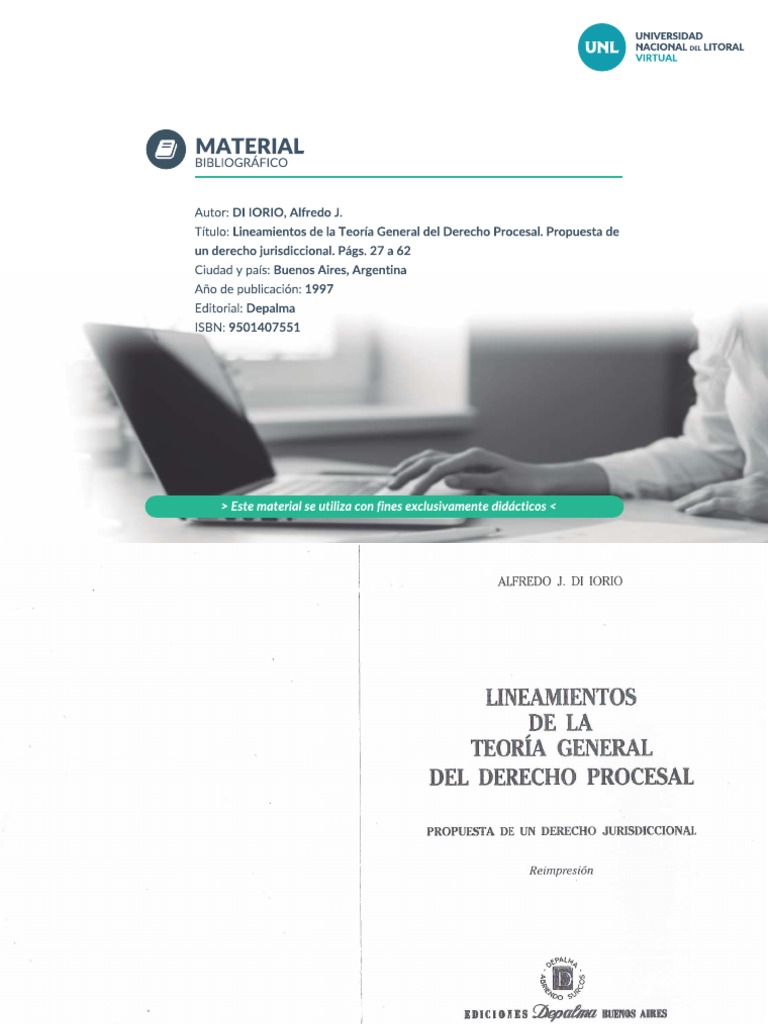 DI IORIO - Lineamientos de La Teoria General Del Derecho Procesal - Tema 3 | PDF