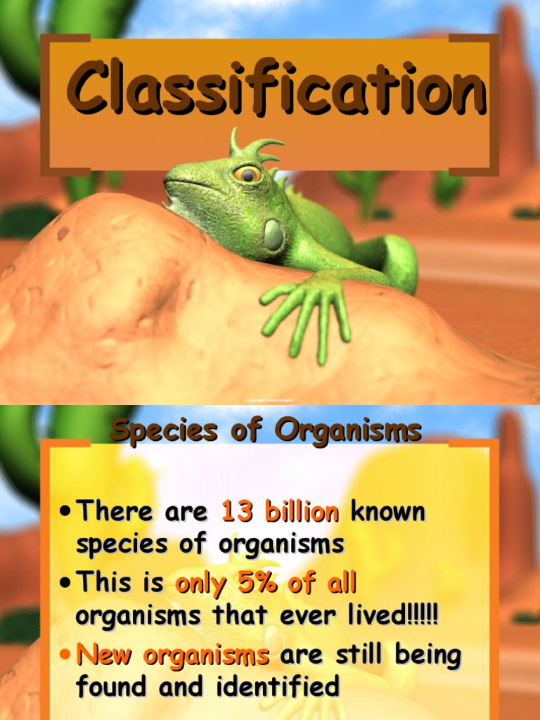 Classification of Life | PDF | Taxonomy (Biology) | Archaea