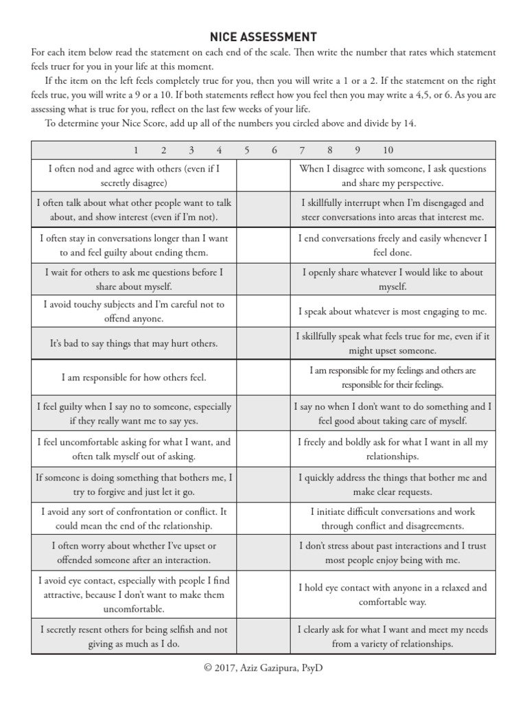 DR Aziz Not Nice Nice Assessment | PDF | Psychology