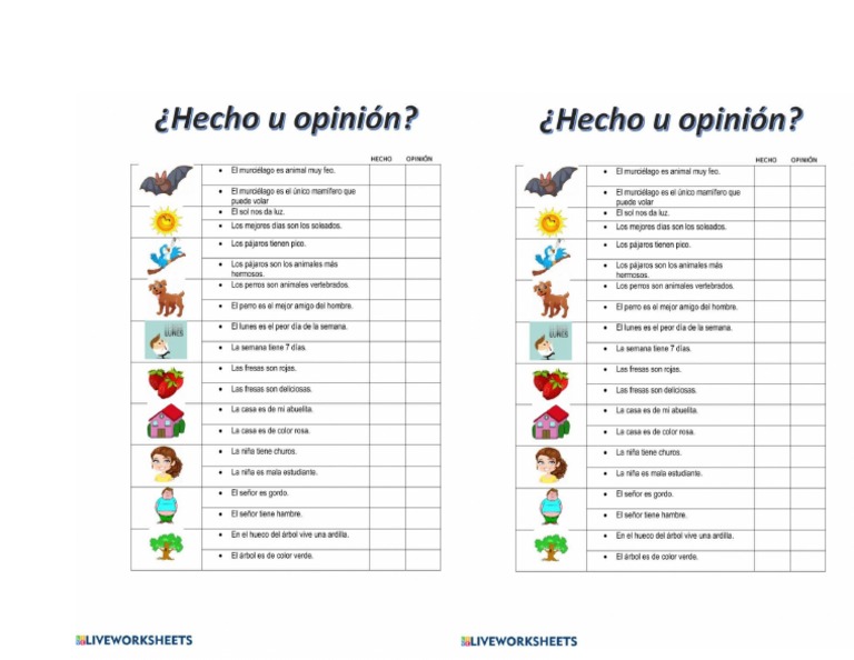 Hecho y Opinión | PDF