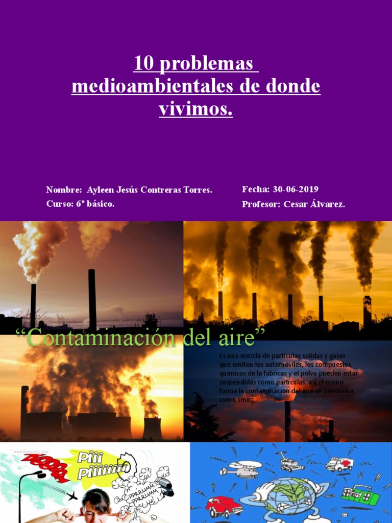 10 Problemas Medioambientales | PDF