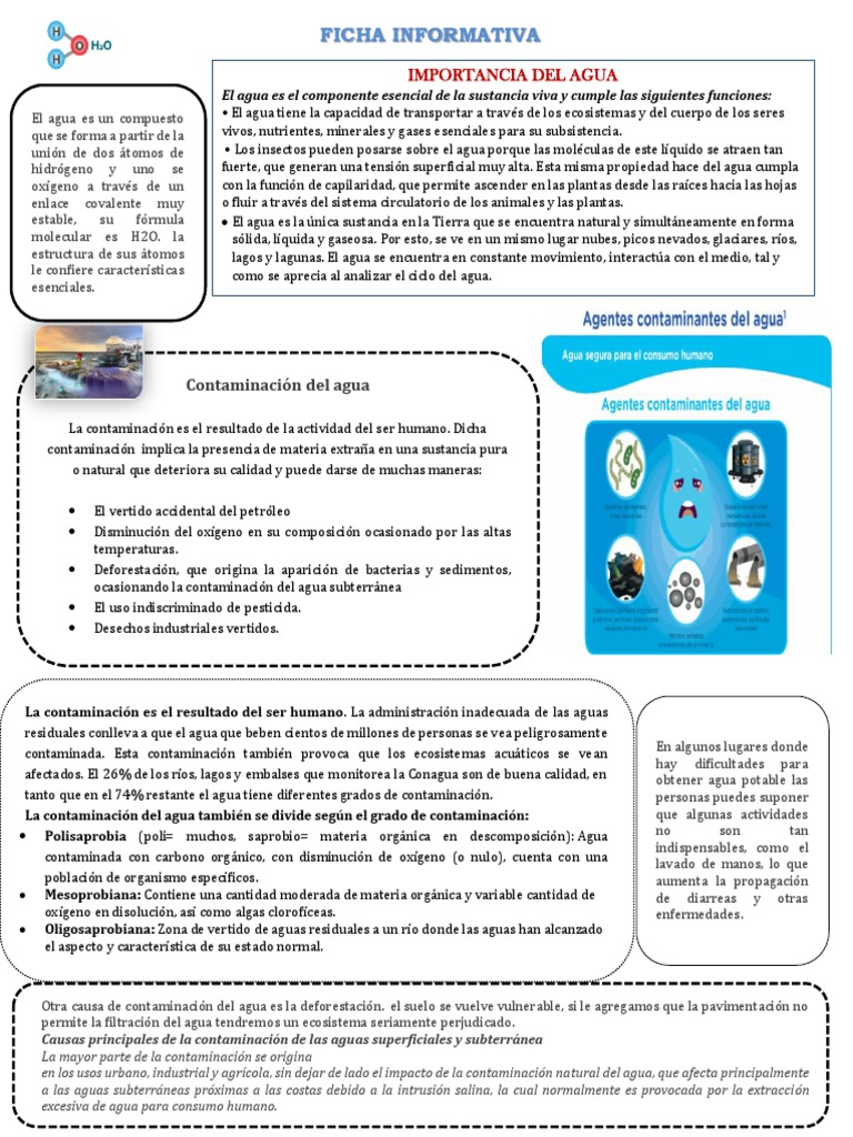 CTA5- ficha informativa 02 11 22 | PDF | Agua | La contaminación del agua