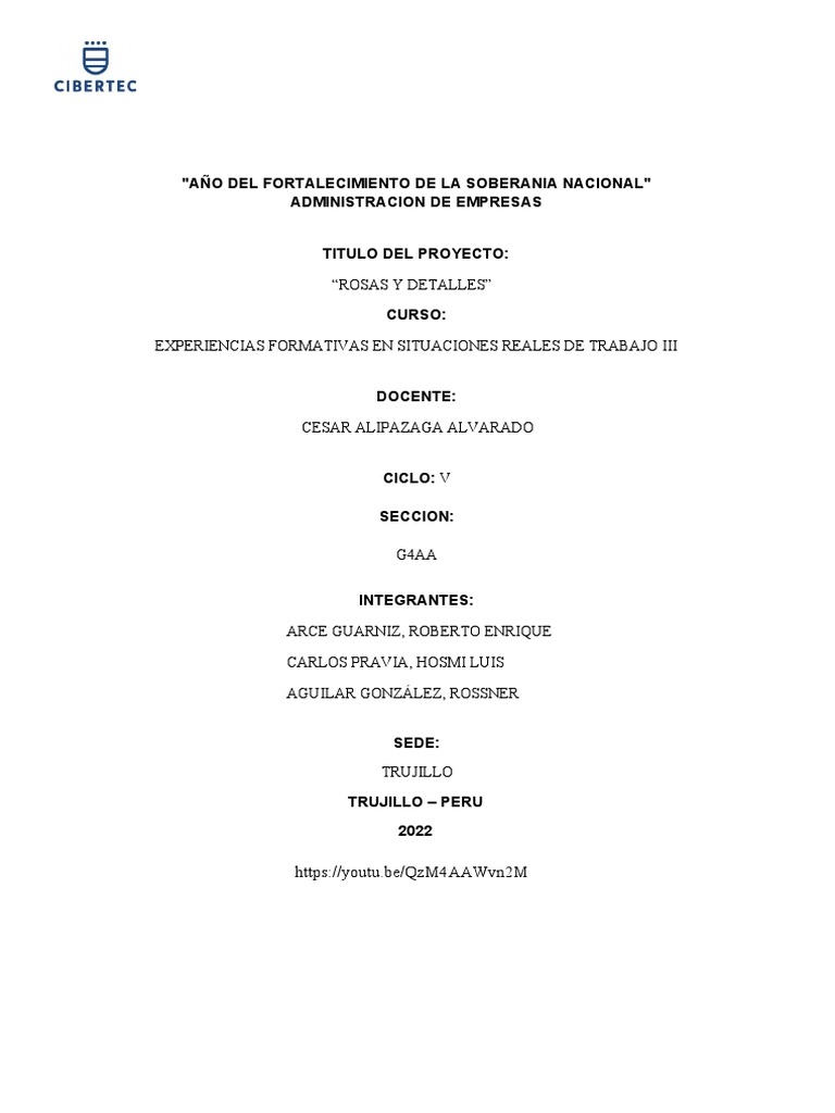 Exp. Proyecto Final | PDF | Marketing | Flujo de efectivo