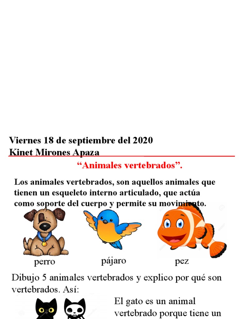 Animales Vertebrados y sus Características | PDF