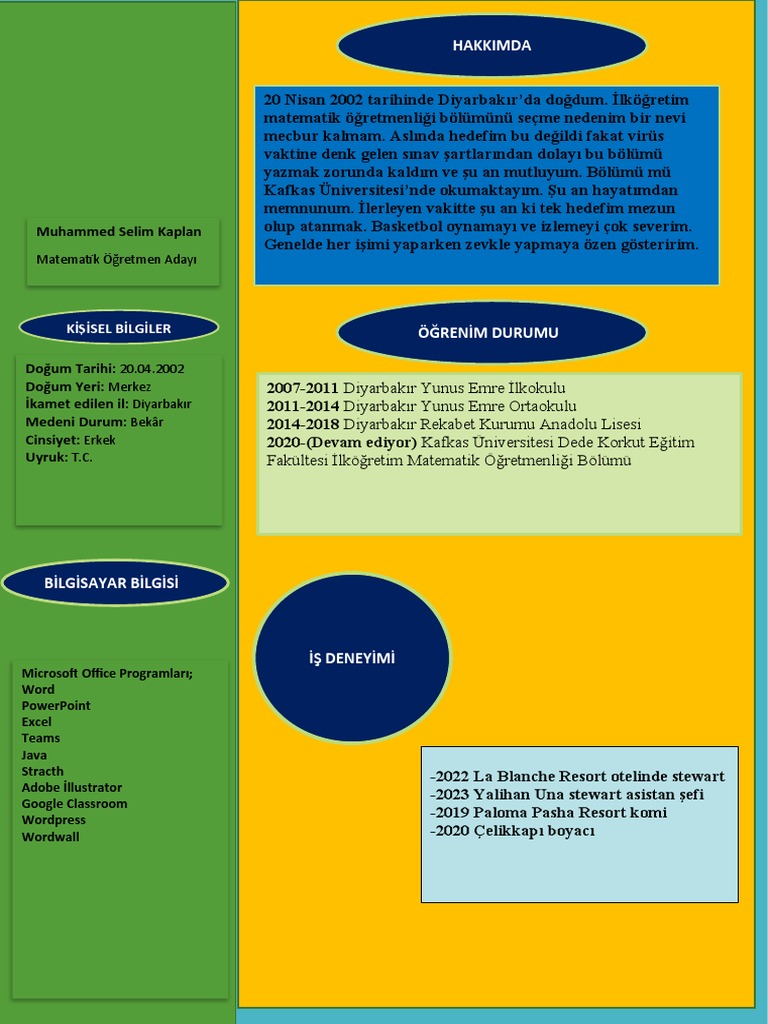 Muhammed Selim Kaplan CV | PDF