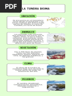 Características del ecosistema desierto | PDF | Desierto | Sáhara