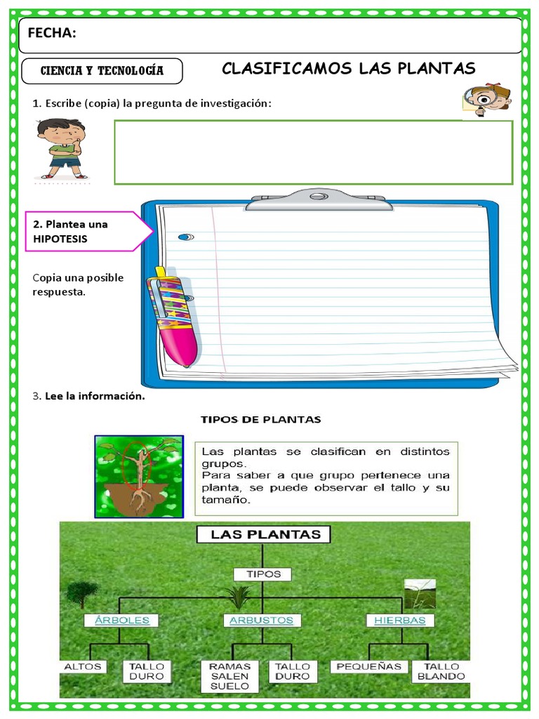 d3 a1 Ficha Ct Clasificamos Las Plantas | PDF