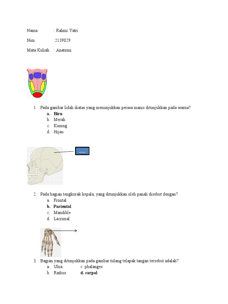 Contoh Soal Anatomi | PDF Contoh Soal Anatomi | PDF