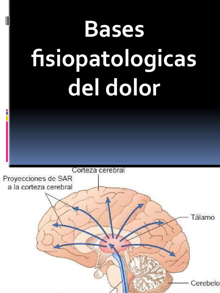 Copia de Fisiopato Dolor Porth | PDF | Dolor | Neurociencia