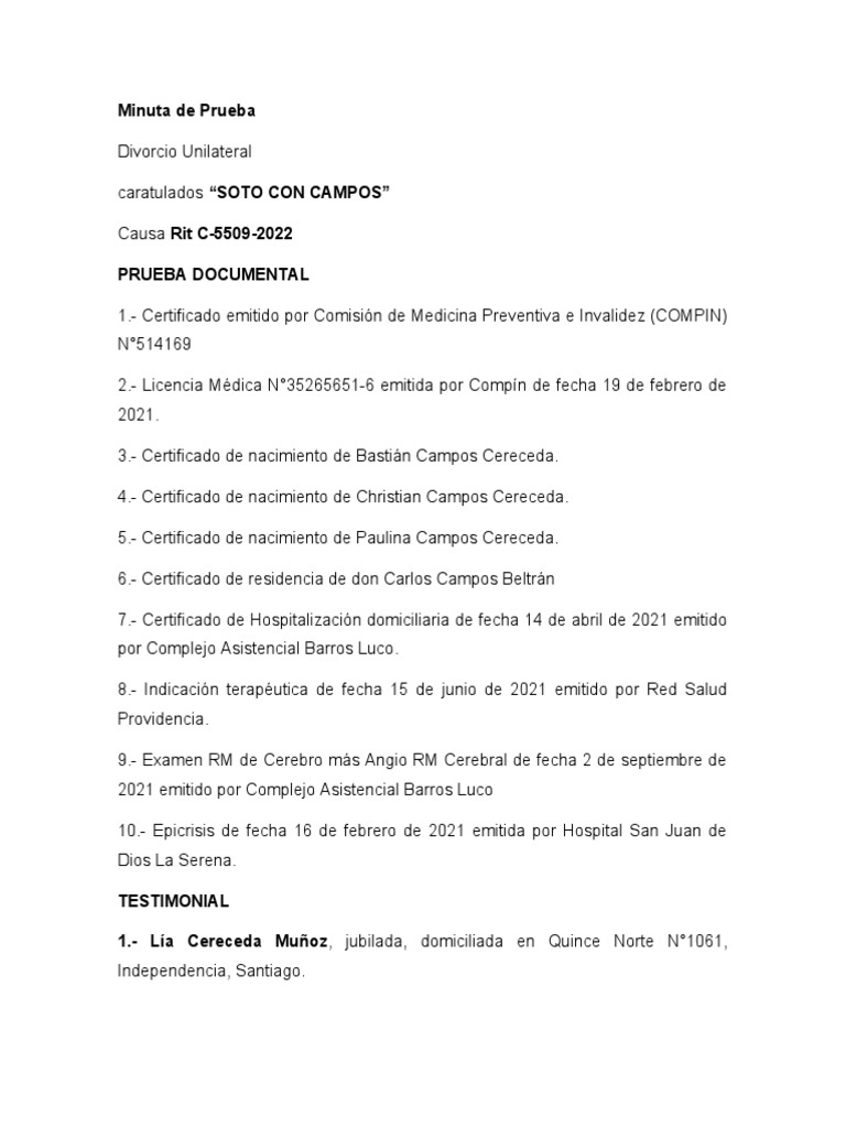 Minuta de Prueba | PDF