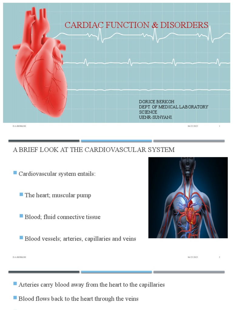 Cardiac Function Tests | PDF | Heart | Vein
