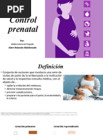 Carnet Del Embarazo | PDF