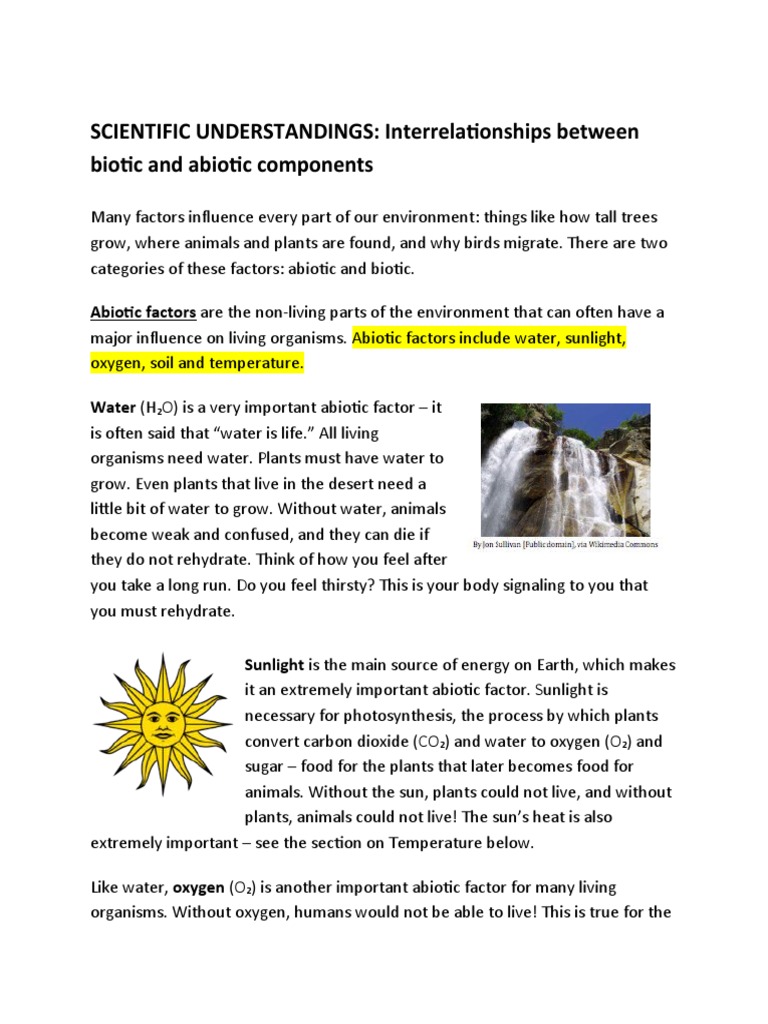 Interrelationships Between Biotic and Abiotic Components | PDF ...