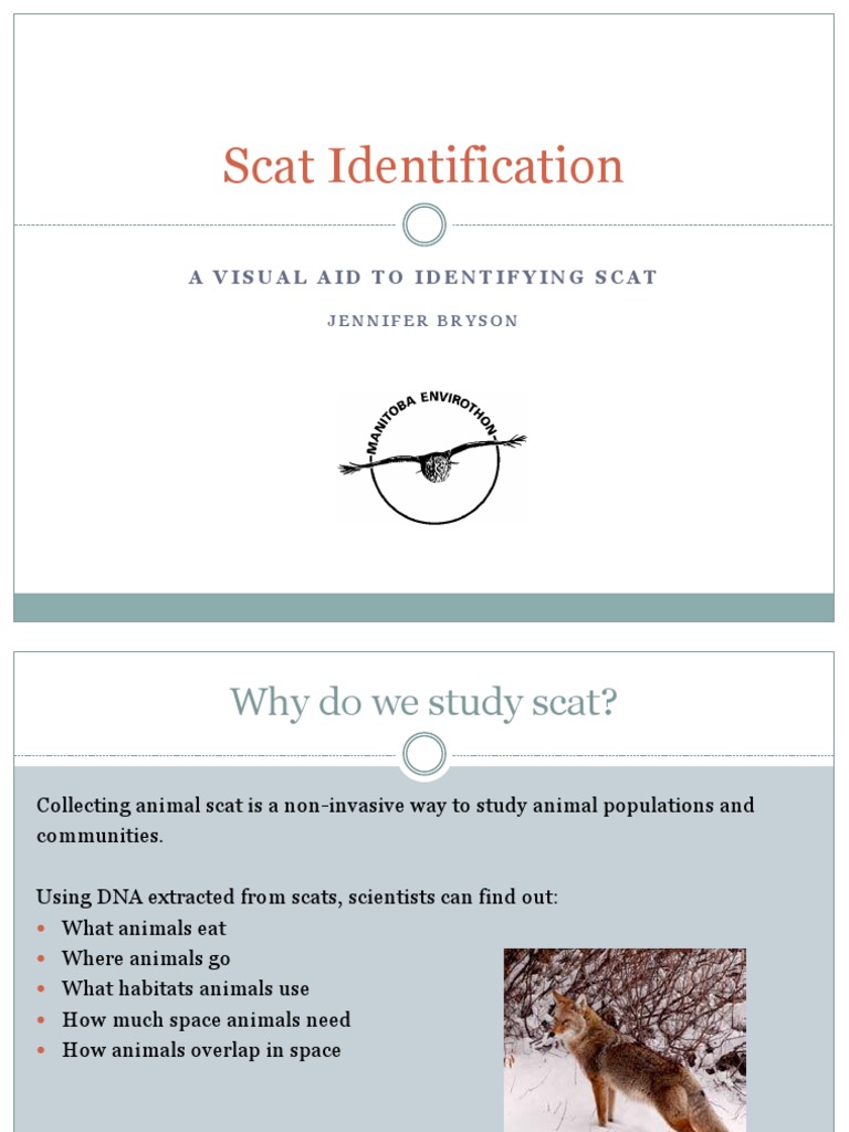 Scat-Identification | PDF