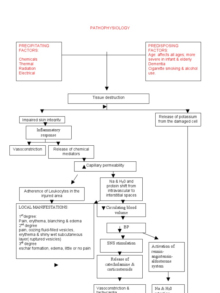 Burn Patho | PDF